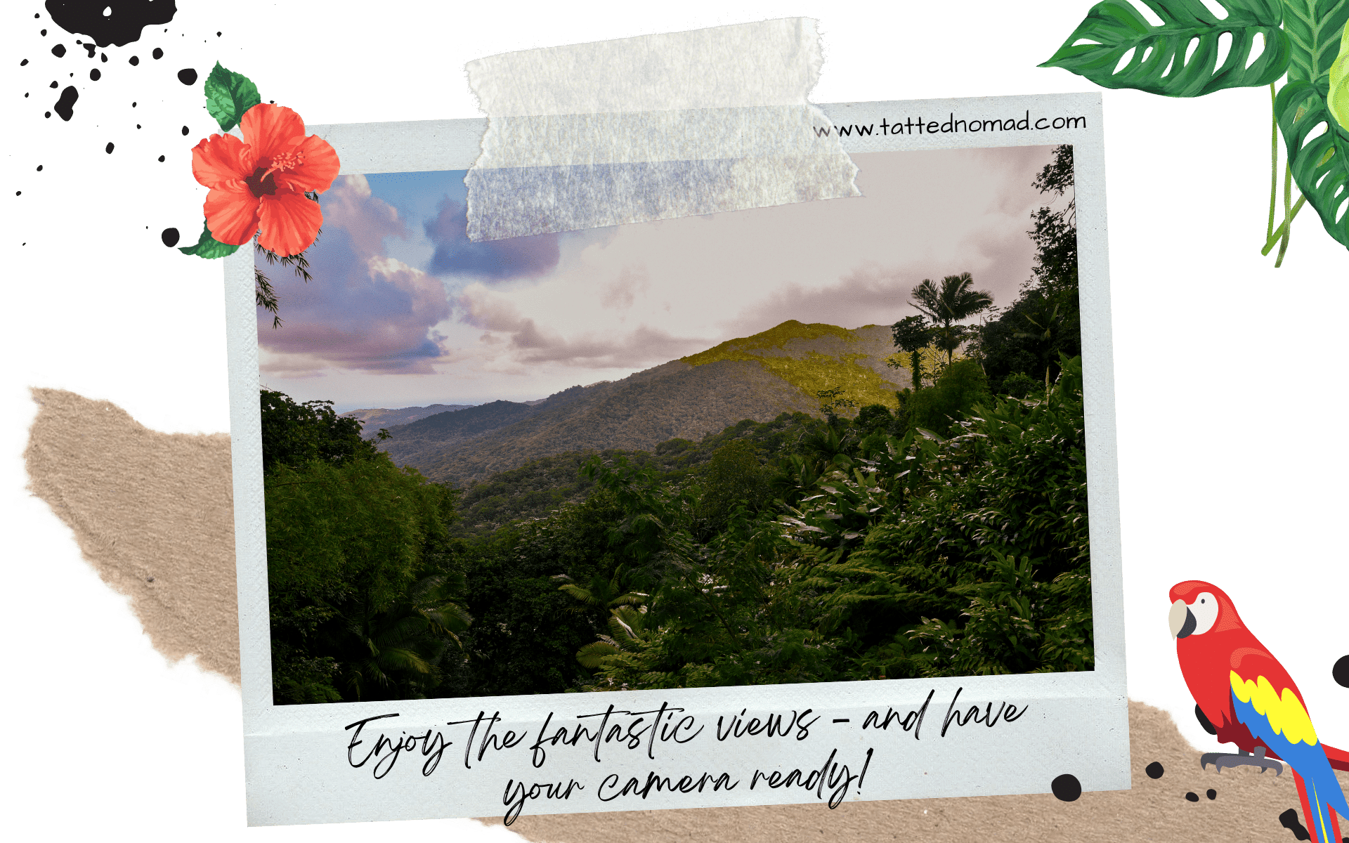 Best Things to Do in El Yunque, Puerto Rico | Must-See Guide