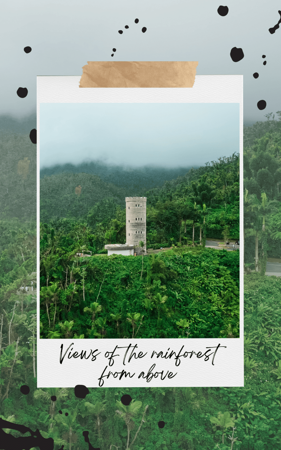 Best Things to Do in El Yunque, Puerto Rico | Must-See Guide